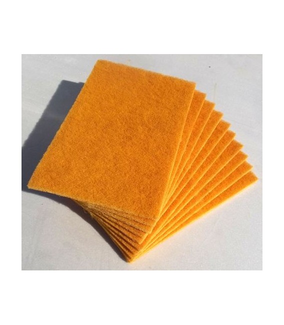 Spugna abrasiva 4 tipi (x5)